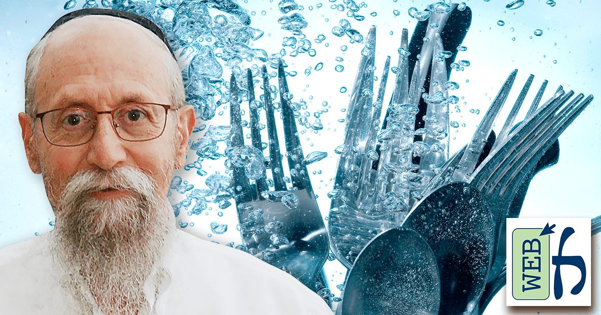 Tevilat Keilim (Immersing Utensils)