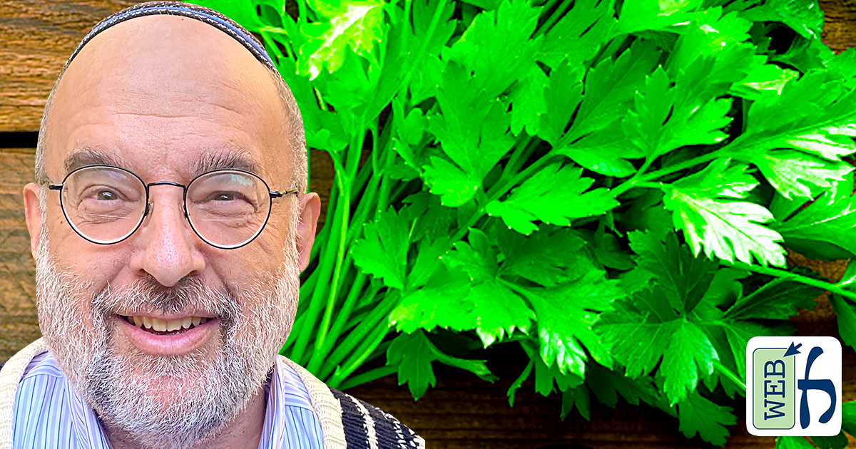 The Seder 2024: Karpass