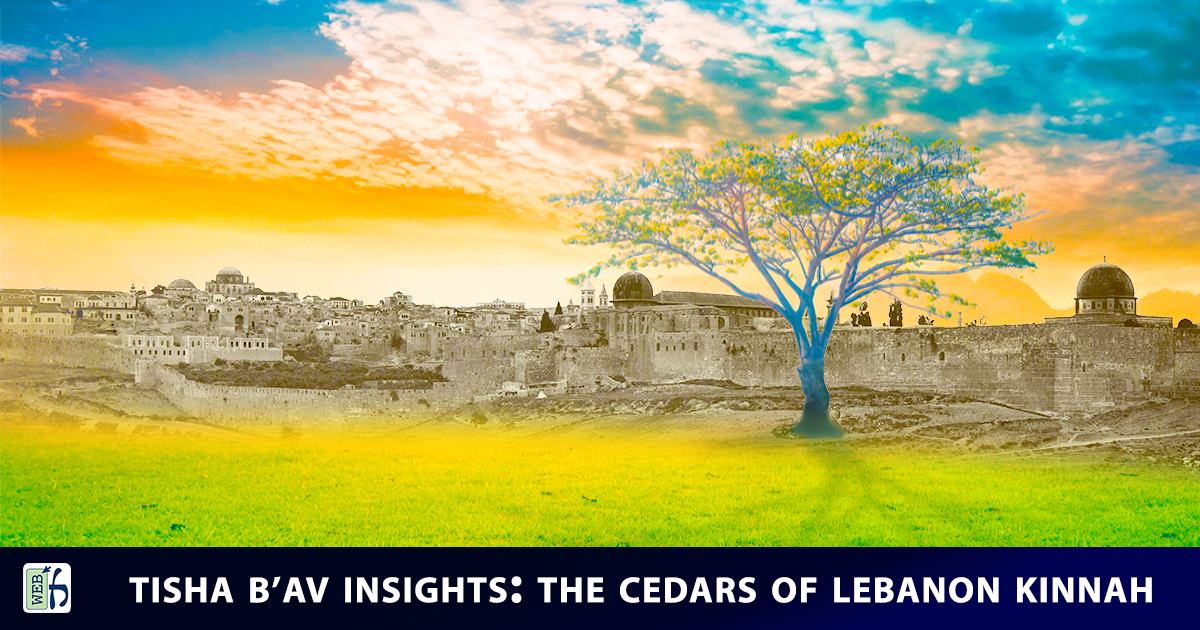 Tisha B’Av Insights: The Cedars of Lebanon Kinnah