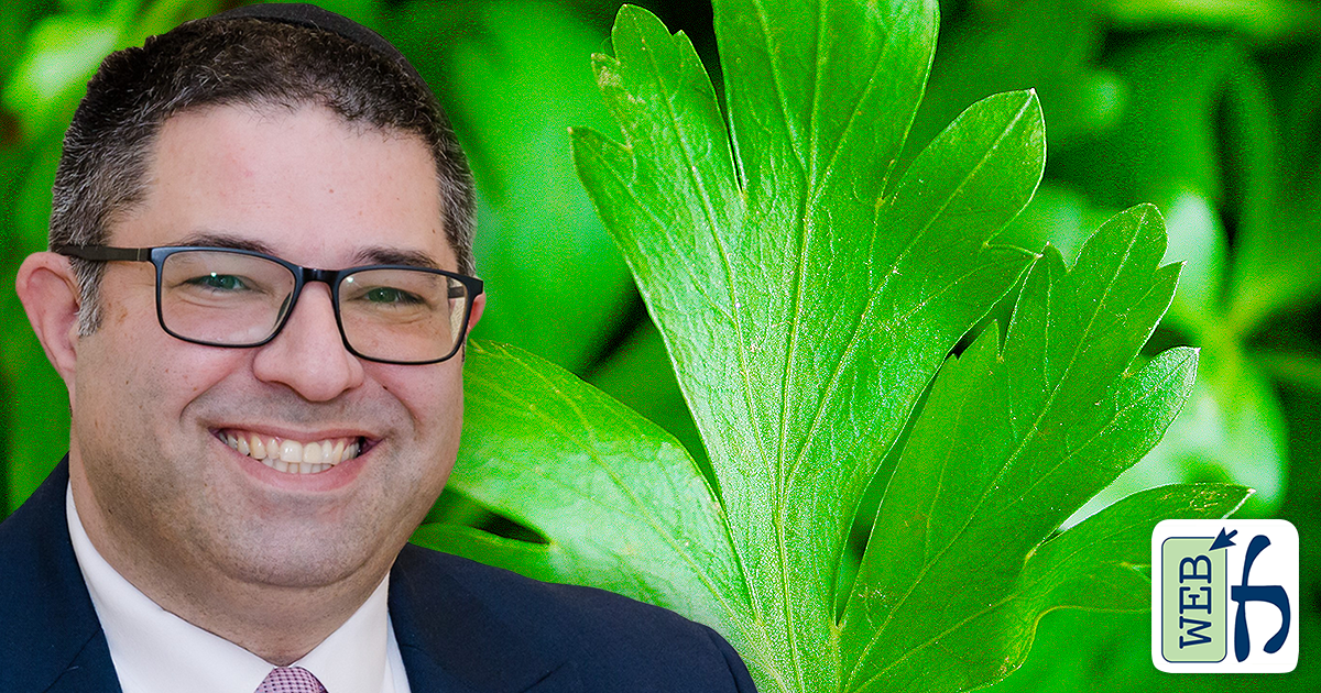 The Seder 2025: Karpass