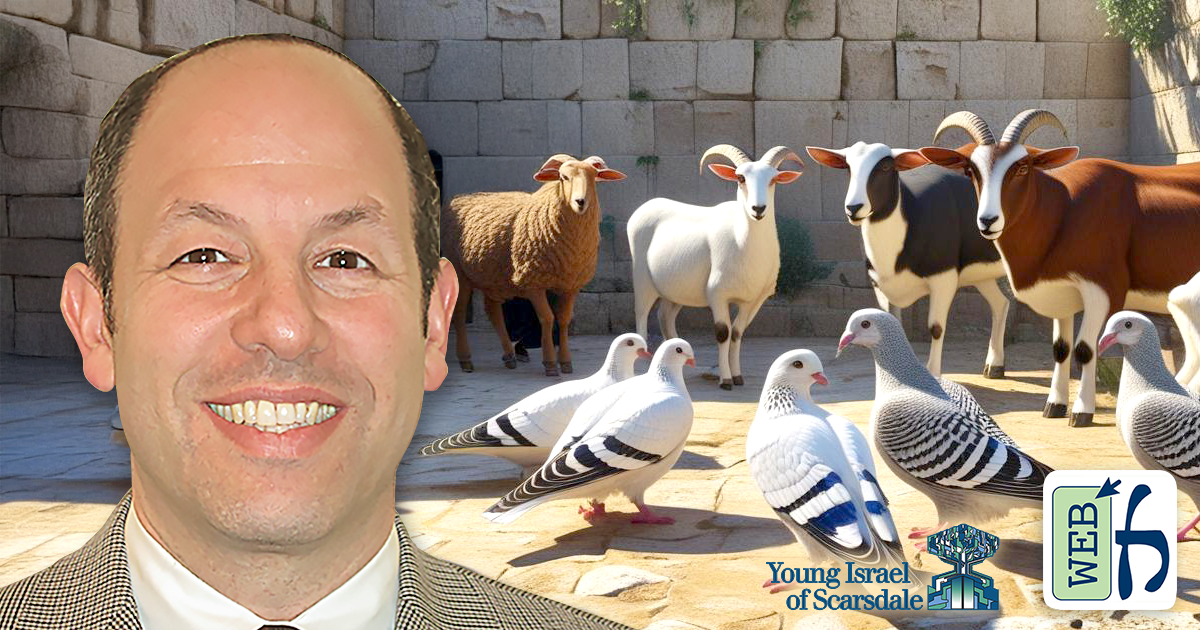 Daf Yomi Zevachim - WebYeshiva